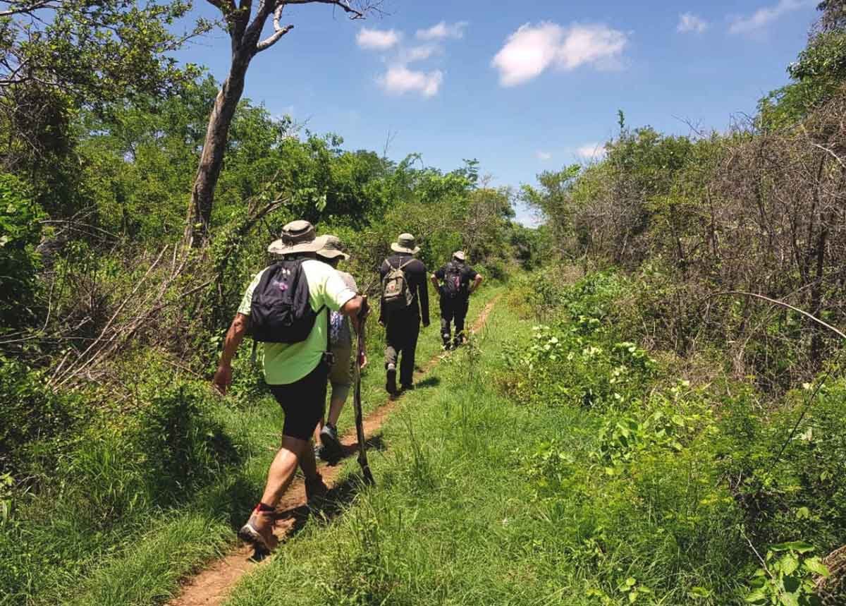 Encontrarás La Esencia Maya En El Camino Del Mayab - De Cinco Estrellas